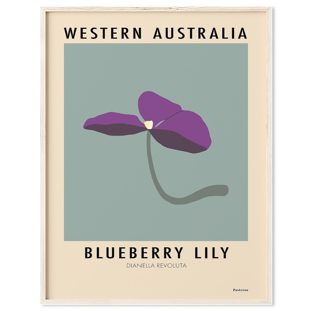 Blueberry Lily Art Print | Noongar Season Makuru | Australian Native ...