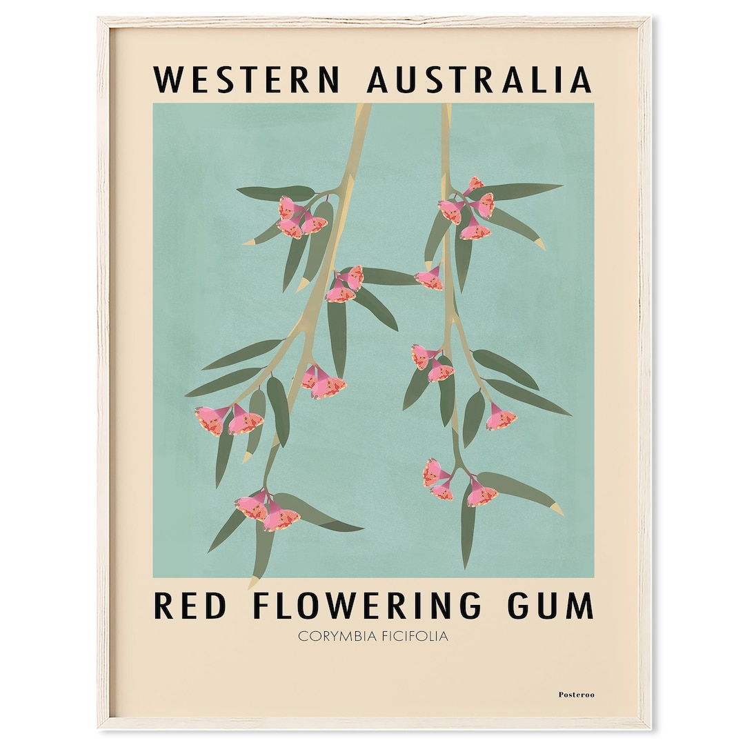 Red Flowering Gum Tree Art Print | Djeran Noongar Season - Etsy