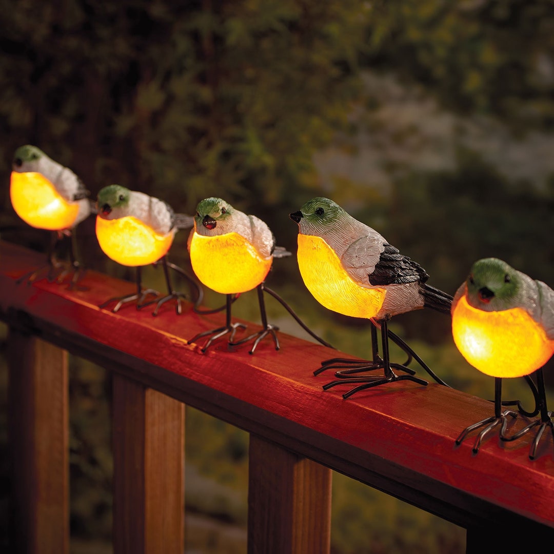 ART & ARTIFACT Bird Outdoor String Lights, Bird Lights for Tents ...