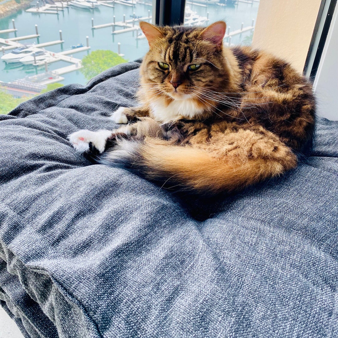 French Style Window Seat Cushion Indoor, Bench Cushion, Custom Floor ...