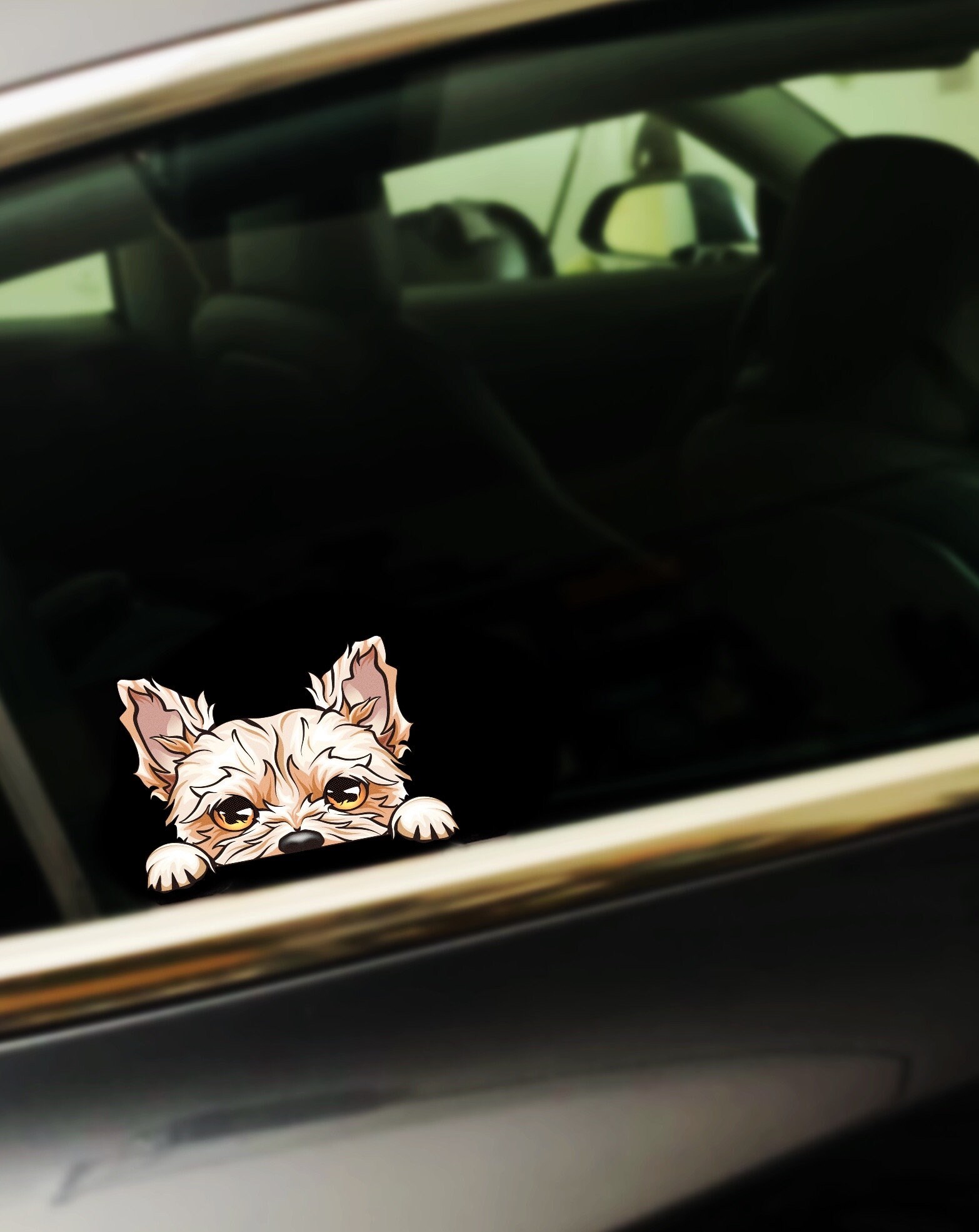 Chopper Peeker Sticker holographic - Etsy