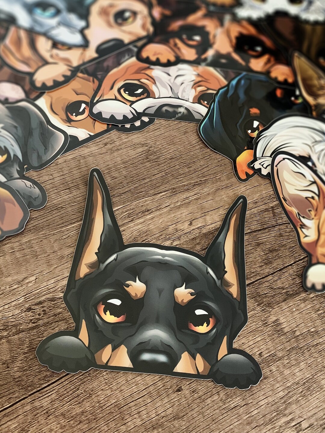 Doberman Pinscher Peeker Sticker (holographic) High Quality, Waterproof ...