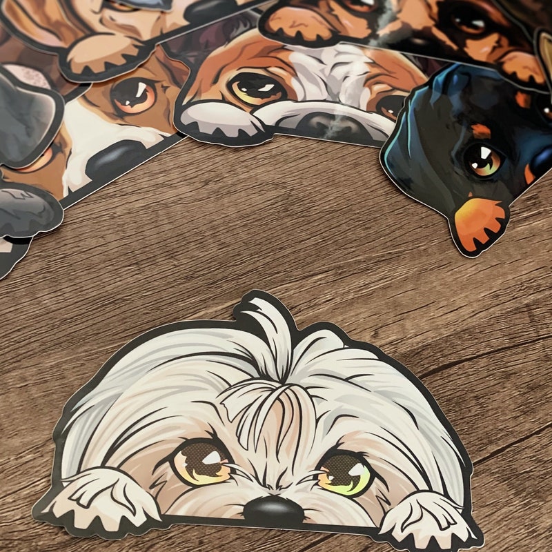 Havanese Stickers - Etsy