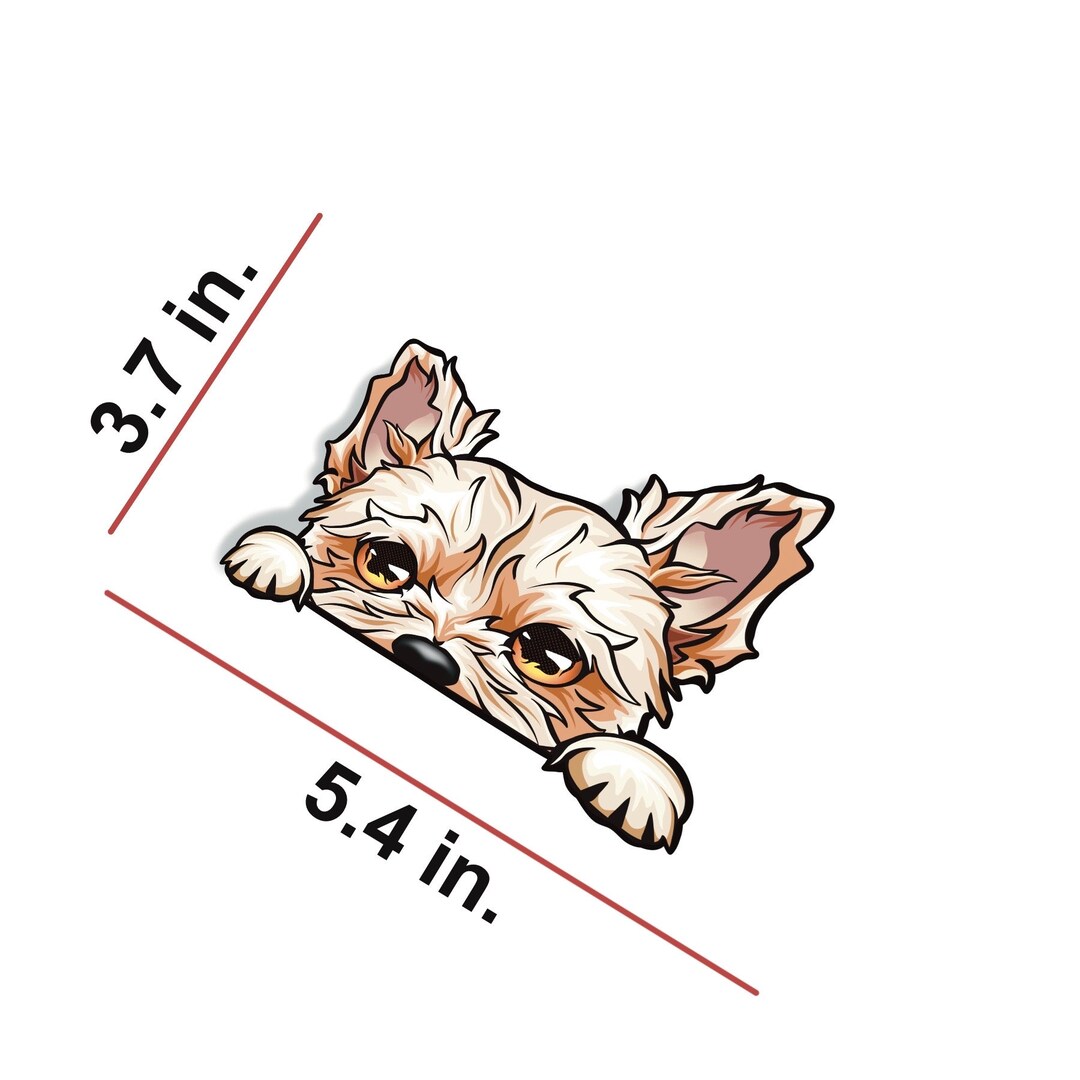 Chopper Peeker Sticker holographic - Etsy