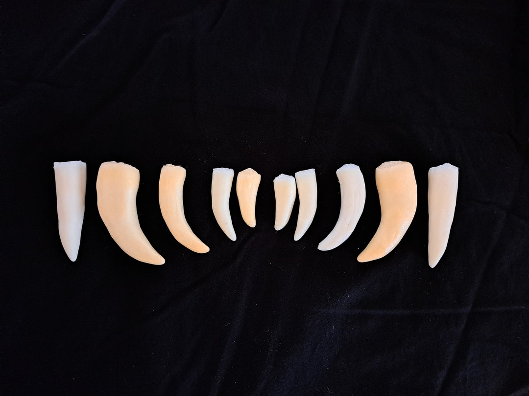 Foam Teeth and Tusks From Dangerous Beasts. - Etsy