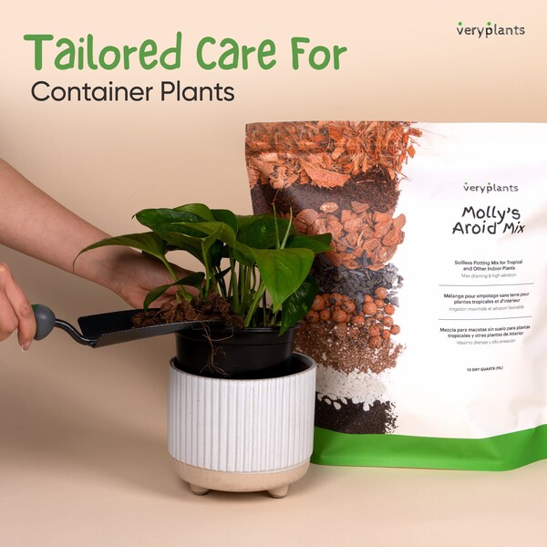 Chunky Soil for Indoor Plants - Etsy