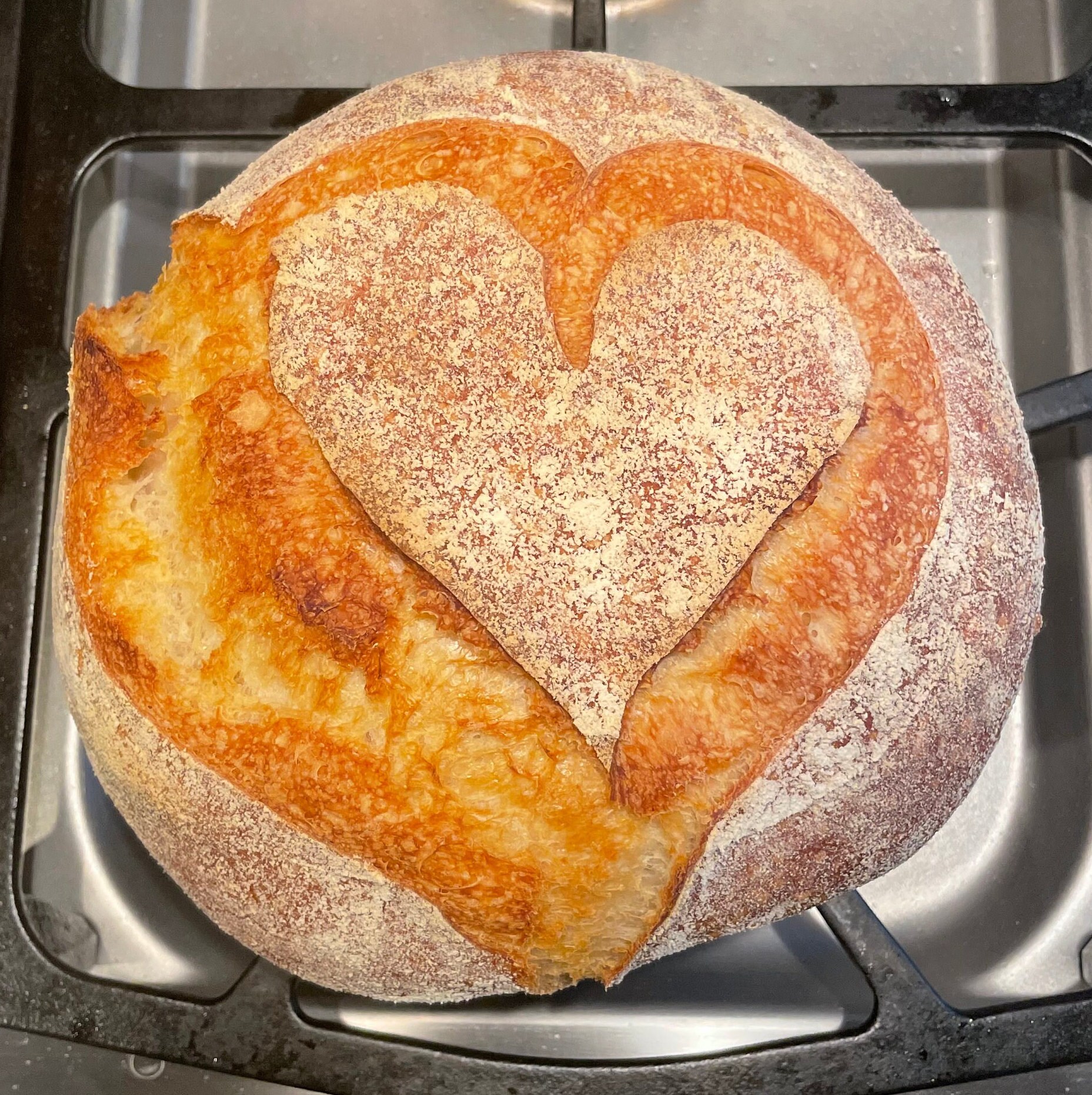 Live Sourdough Starter - Etsy