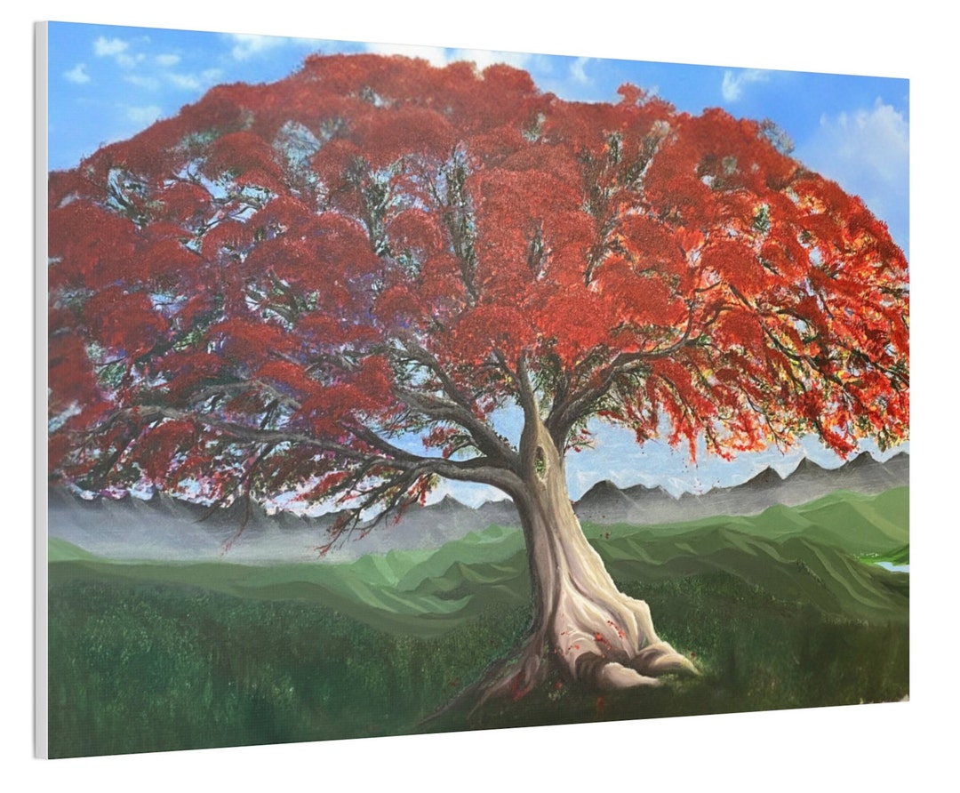 Puerto Rico's Flamboyant Tree Painting Acrylic Print on Canvas - Etsy