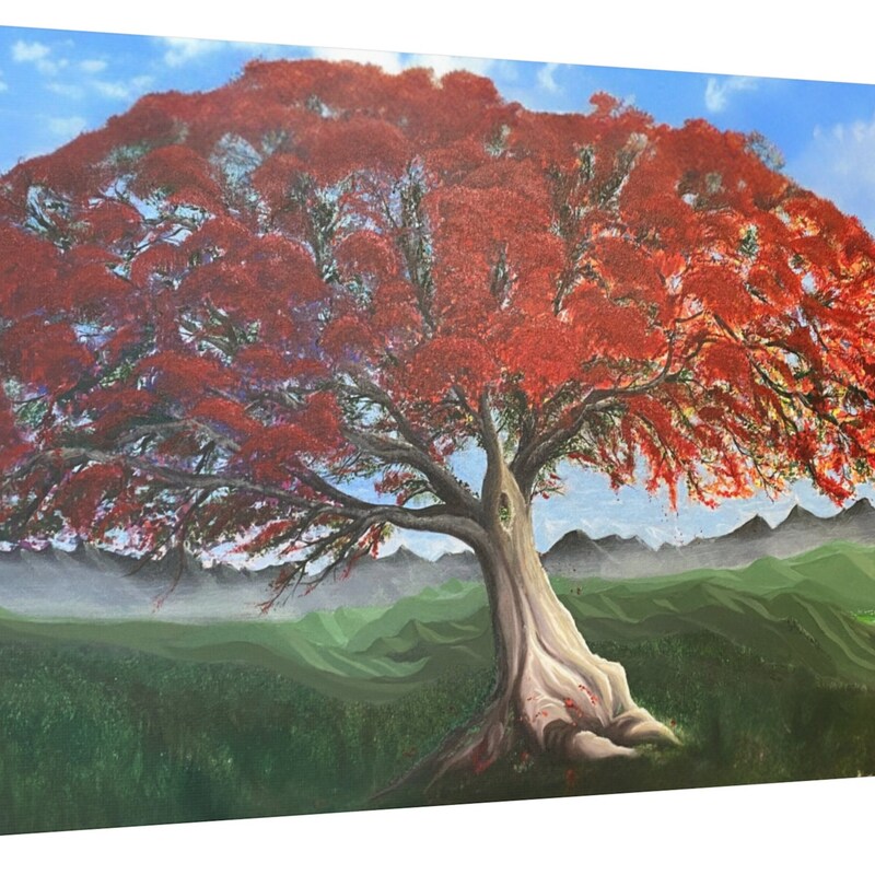 Flamboyant Tree - Etsy