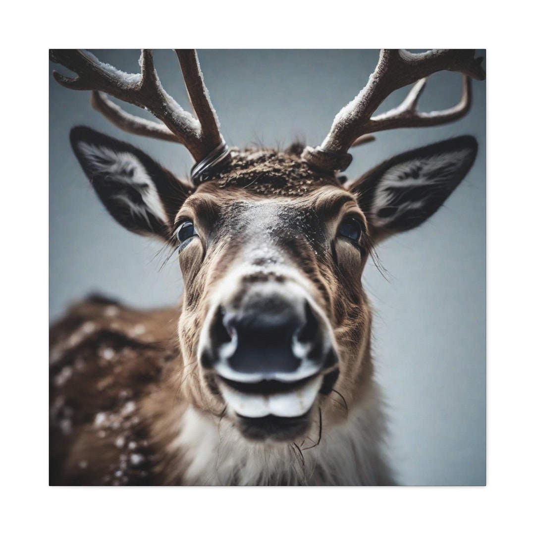 Reindeer Print Reindeer Wall Art Christmas Wall Décor Reindeer Print ...