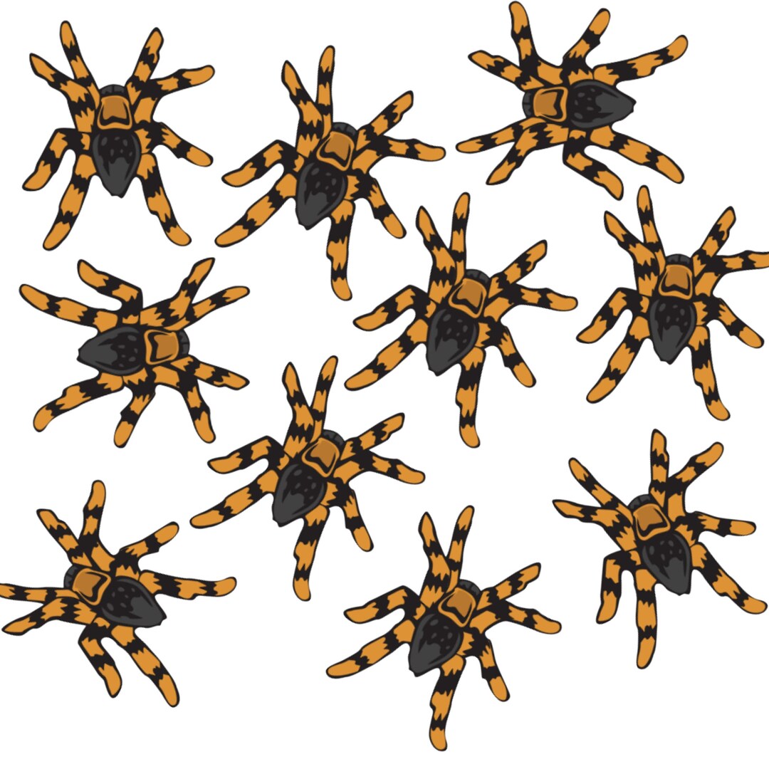 Halloween Scare Kit Orange Creepy Spider Magnet Decorations for ...