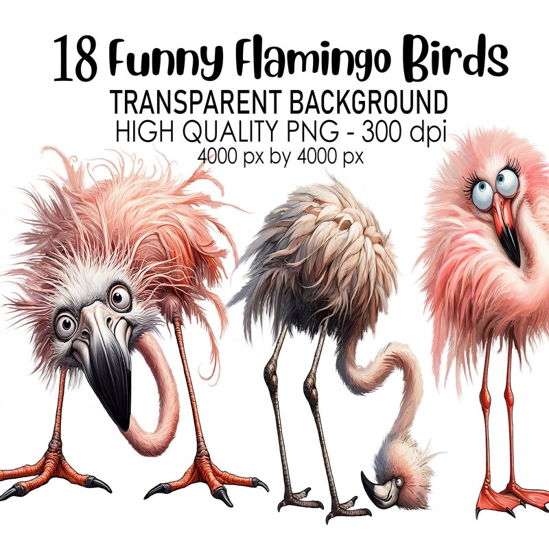 Funny Flamingo Cartoons - Etsy