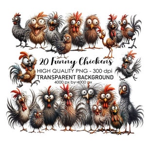 20 Transparent Background Funny Crazy Chickens Clip Art, PNG 300 Dpi ...
