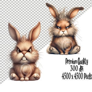 18 Transparent Background Grumpy Bunny Rabbit Clip Art, PNG 300 Dpi ...