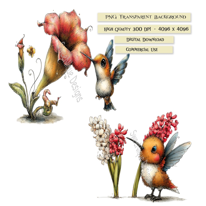 Hummingbird Clipart, 12 PNG Whimsical Bird Graphics, Transparent ...