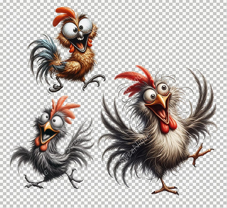 20 Transparent Background Funny Crazy Chickens Clip Art, PNG 300 Dpi ...