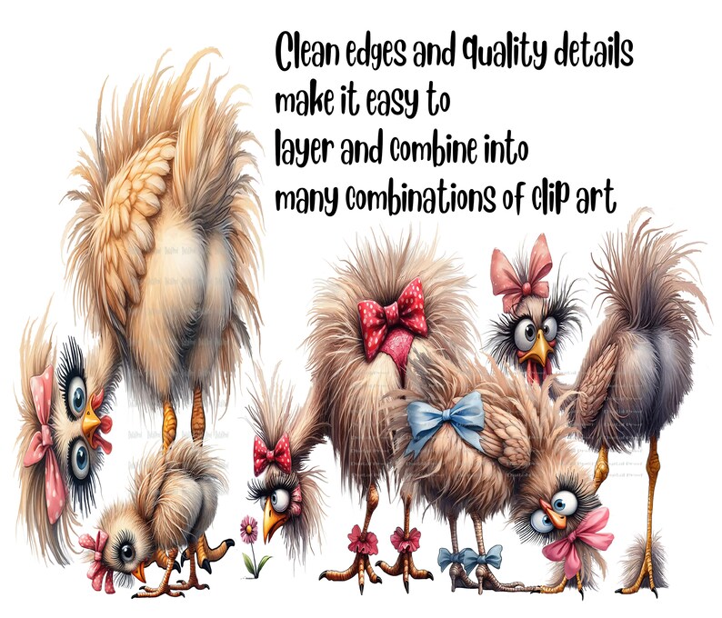 15 Funny Cheeky Chickens Clip Art, Transparent Background PNG 300 DPI ...
