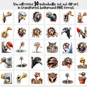 30 Transparent Background Funny Peeking Birds Clip Art, PNG 300 Dpi ...