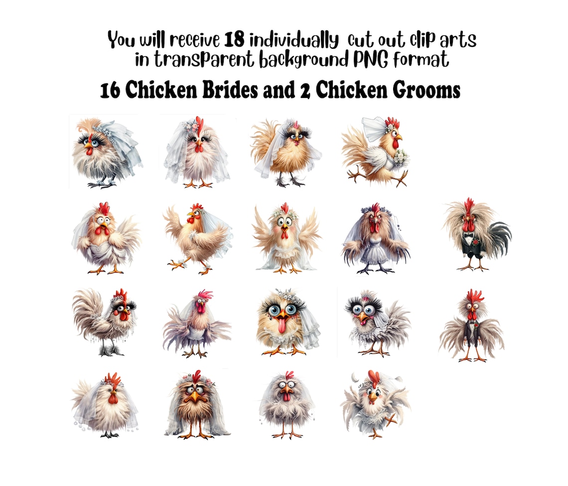 16 Transparent Background Funny Chicken Brides Clip Art, PNG 300 Dpi ...