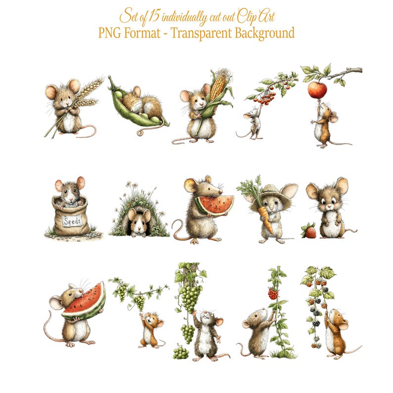 Country Garden Mouse PNG Clipart, 15 Whimsical Mice Graphics ...