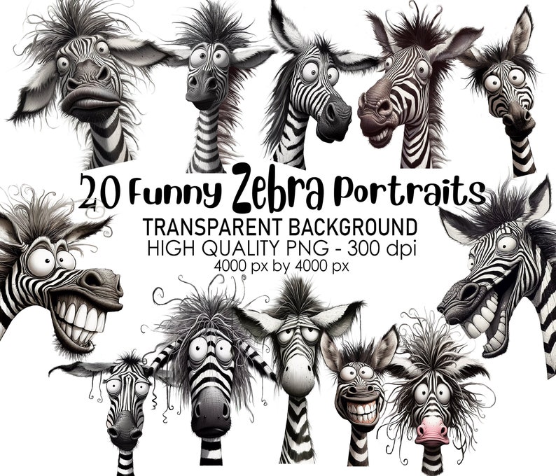 20 Transparent Background Funny Zebra Portrait Clip Art, PNG 300 Dpi ...