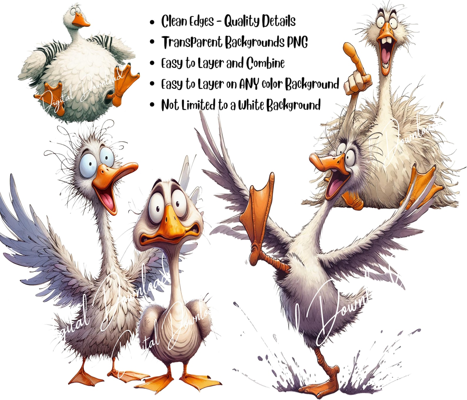 24 PNG Funny Silly Goose Clip Art Transparent Background High Quality ...