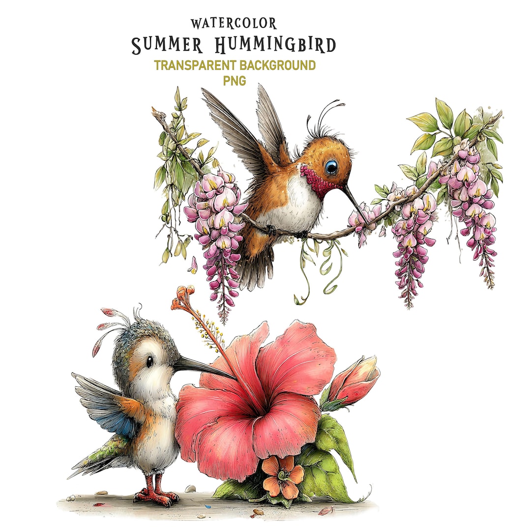 Hummingbird Clipart, 12 PNG Whimsical Bird Graphics, Transparent ...