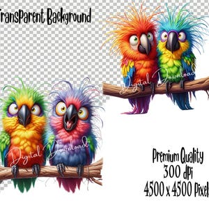 Funny Parrot Clip Art, 12 PNG Quirky Bird Graphics Transparent PNG ...