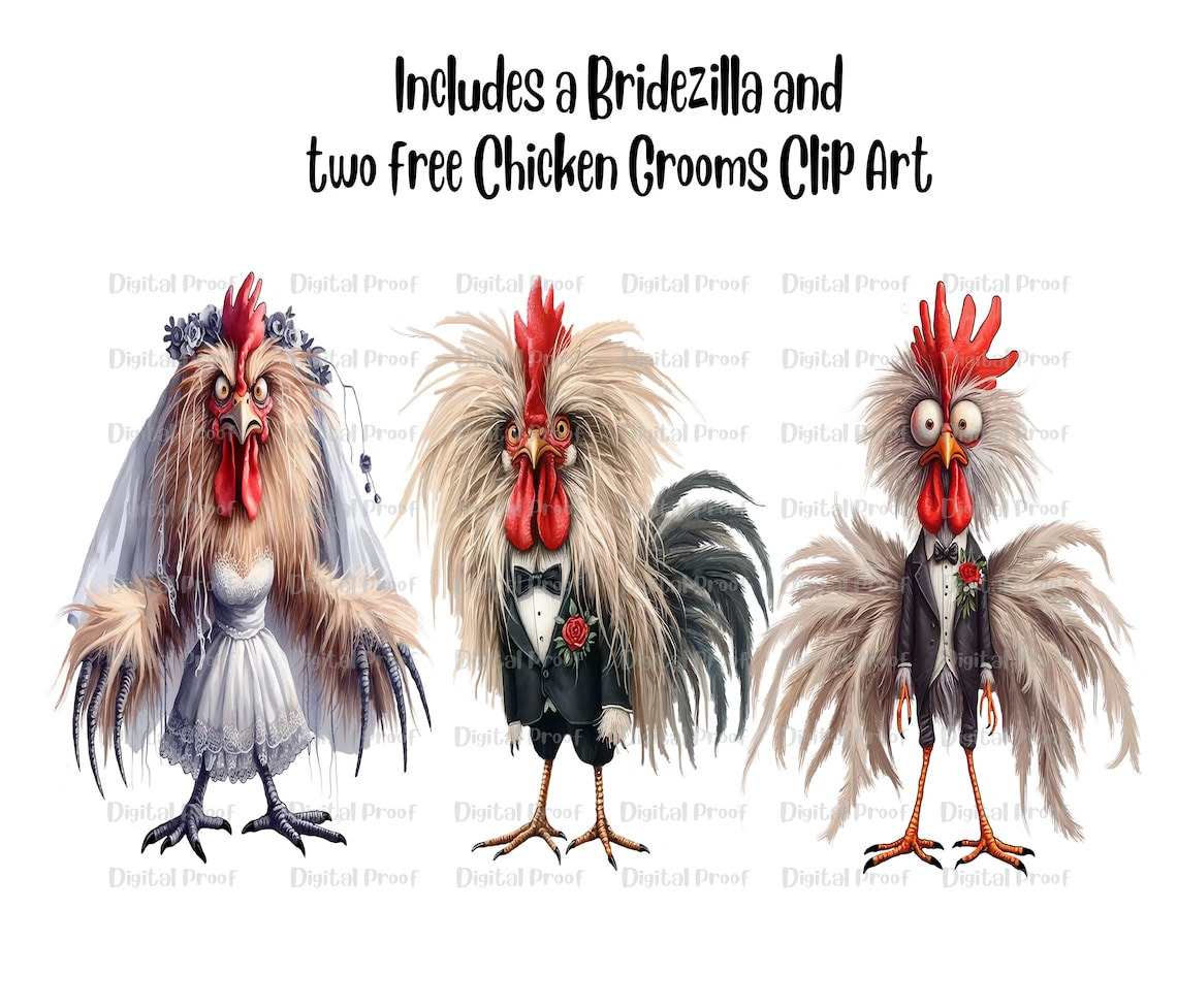 16 Transparent Background Funny Chicken Brides Clip Art, PNG 300 Dpi ...