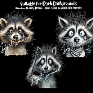 18 PNG Funny Sassy Raccoon Portraits Clip Art Transparent Background ...