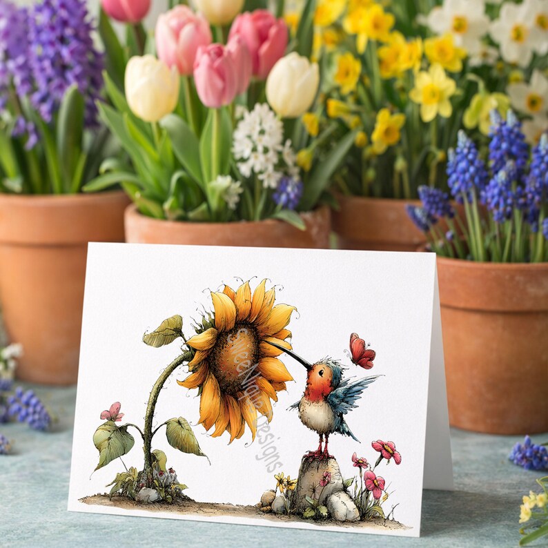 Hummingbird Clipart, 12 PNG Whimsical Bird Graphics, Transparent ...