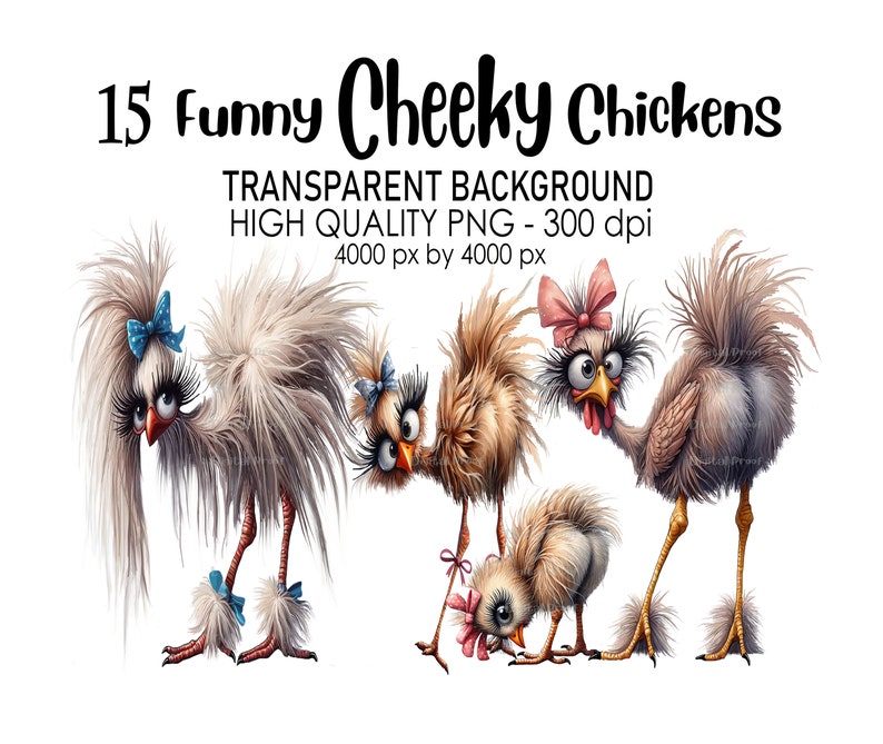 15 Funny Cheeky Chickens Clip Art, Transparent Background PNG 300 DPI ...