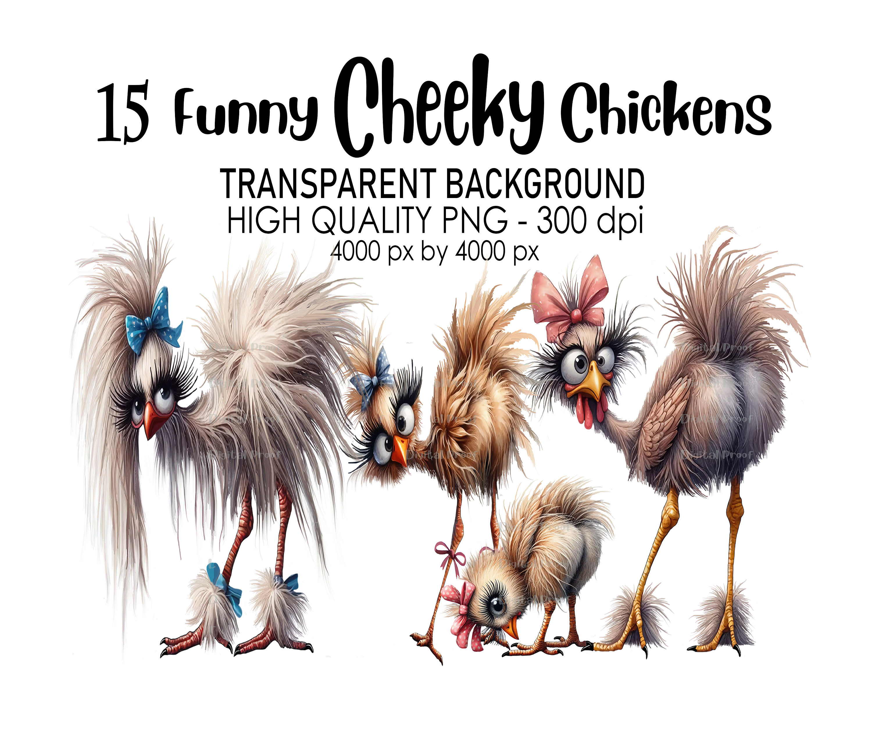 15 Funny Cheeky Chickens Clip Art, Transparent Background PNG 300 DPI ...