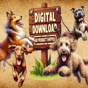 20 Transparent Background Quirky Zoomie Dogs Clip Art, PNG 300 Dpi High ...