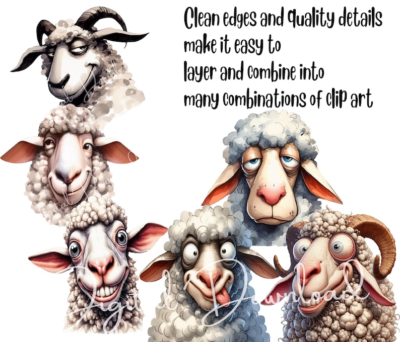 Funny Sheep Face Portraits Clip Art, Transparent PNG (digital Download ...