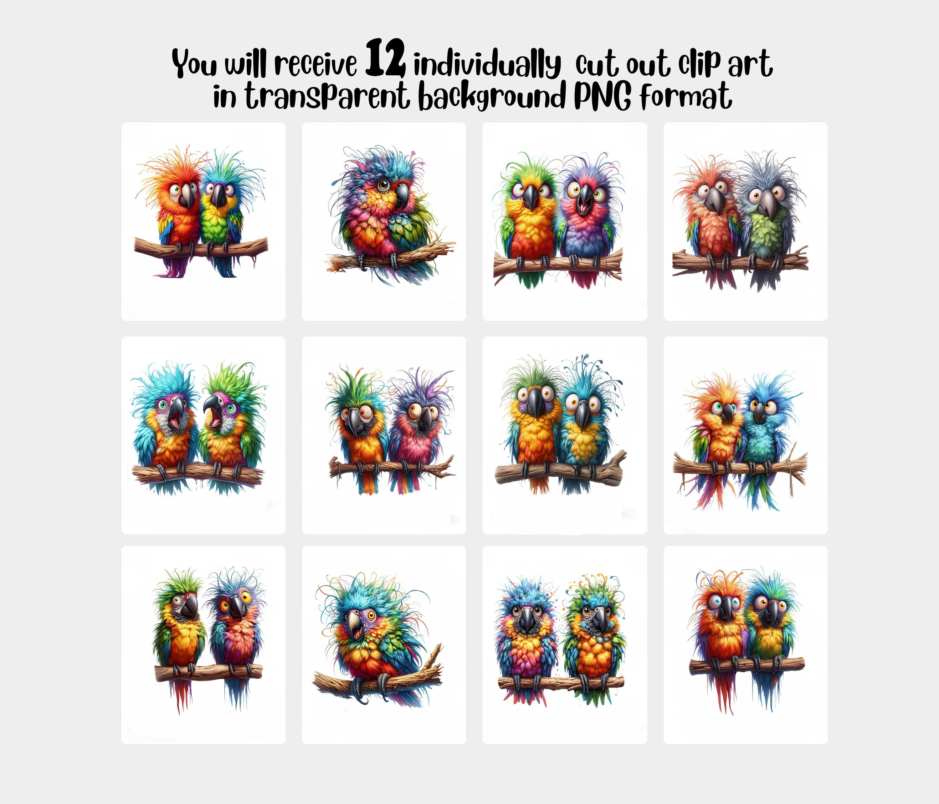 Funny Parrot Clip Art, 12 PNG Quirky Bird Graphics Transparent PNG ...