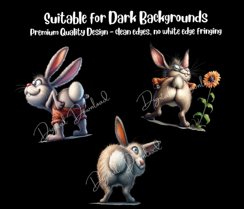 18 Transparent Background Funny Cheeky Bunny Rabbits Clip Art, PNG 300 ...