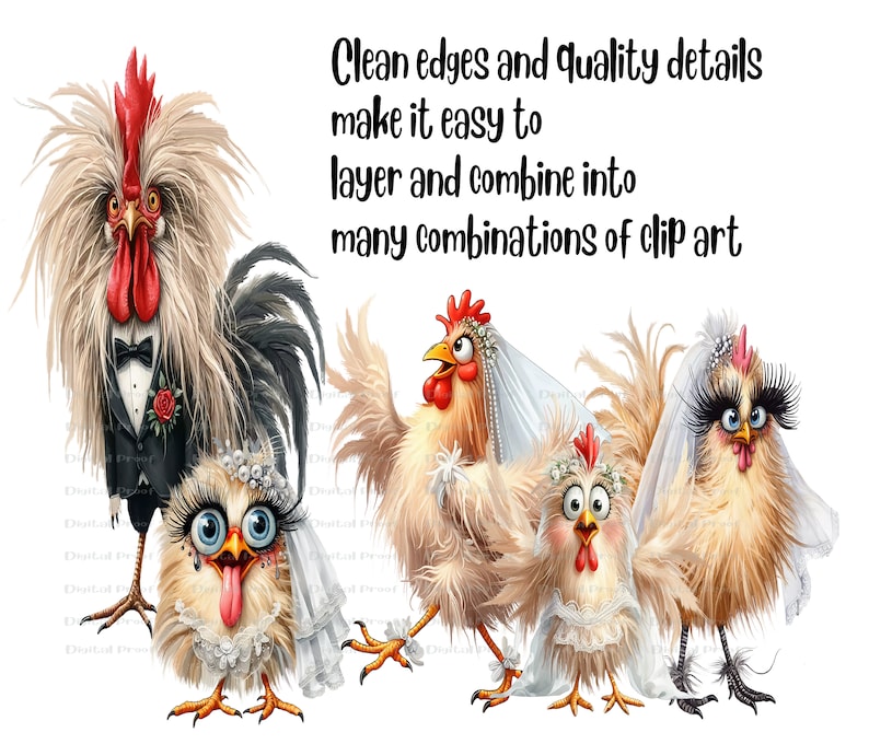 16 Transparent Background Funny Chicken Brides Clip Art, PNG 300 Dpi ...