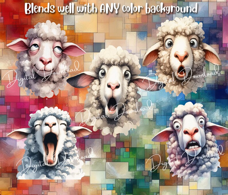 Funny Sheep Face Portraits Clip Art, Transparent PNG (digital Download ...