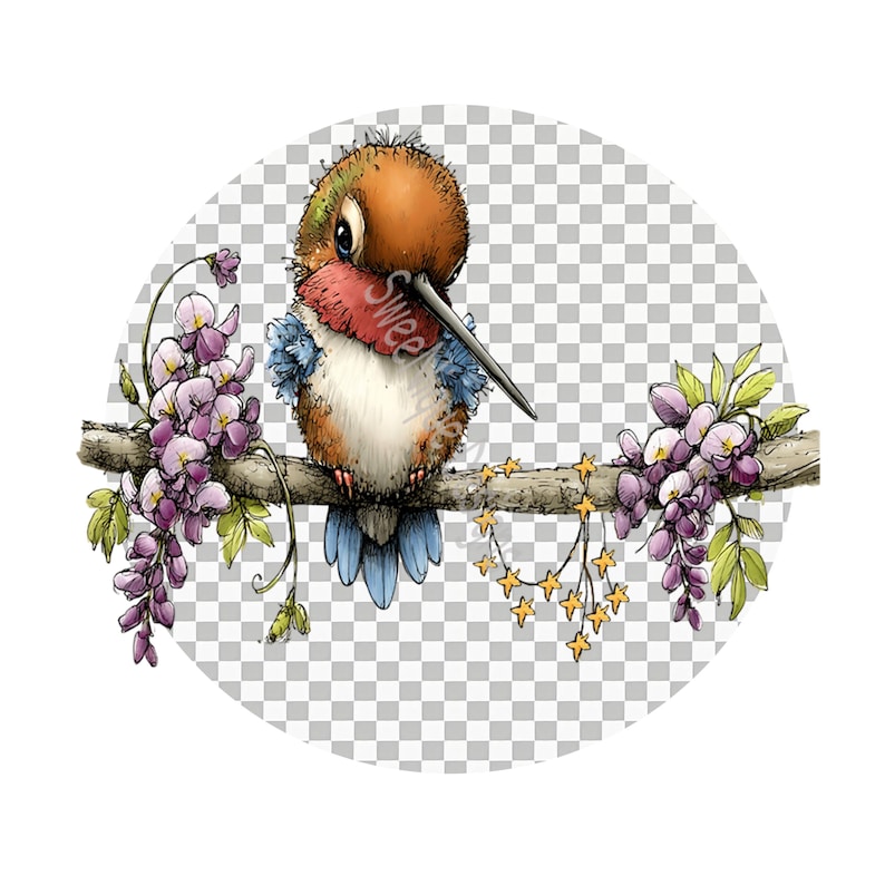 Hummingbird Clipart, 12 PNG Whimsical Bird Graphics, Transparent ...