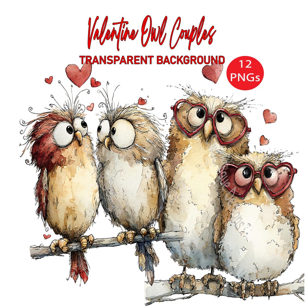Whimsical Valentine Owls PNG Clipart, 12 Romantic Owl Couples With ...
