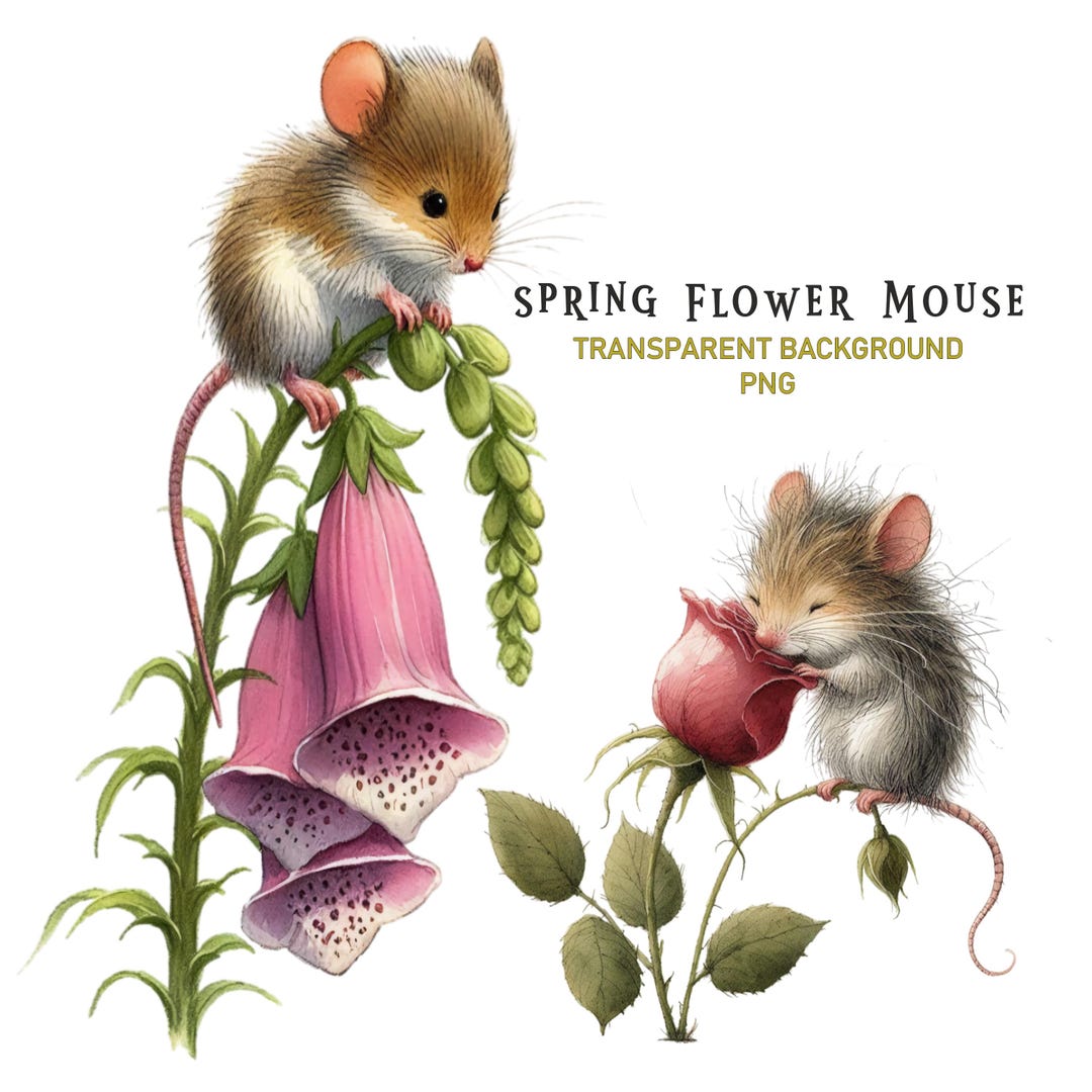 Spring Flower Mouse PNG Clipart: 15 Whimsical Mice Graphics Transparent ...