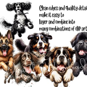 20 Transparent Background Quirky Zoomie Dogs Clip Art, PNG 300 Dpi High ...