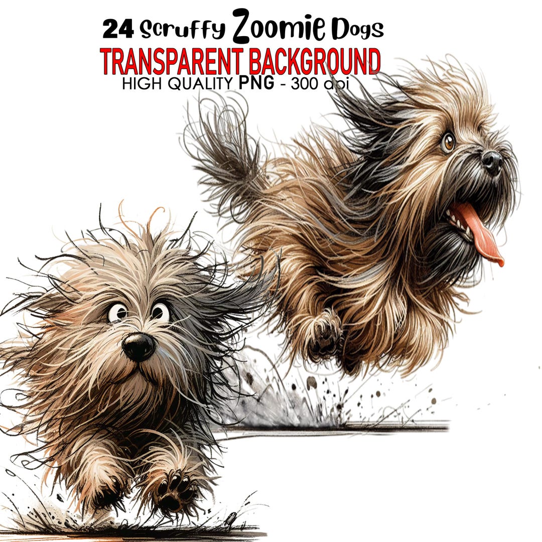 24 Transparent Background Scruffy Zoomie Dog Clip Art, PNG 300 Dpi High ...
