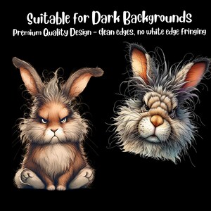 18 Transparent Background Grumpy Bunny Rabbit Clip Art, PNG 300 Dpi ...