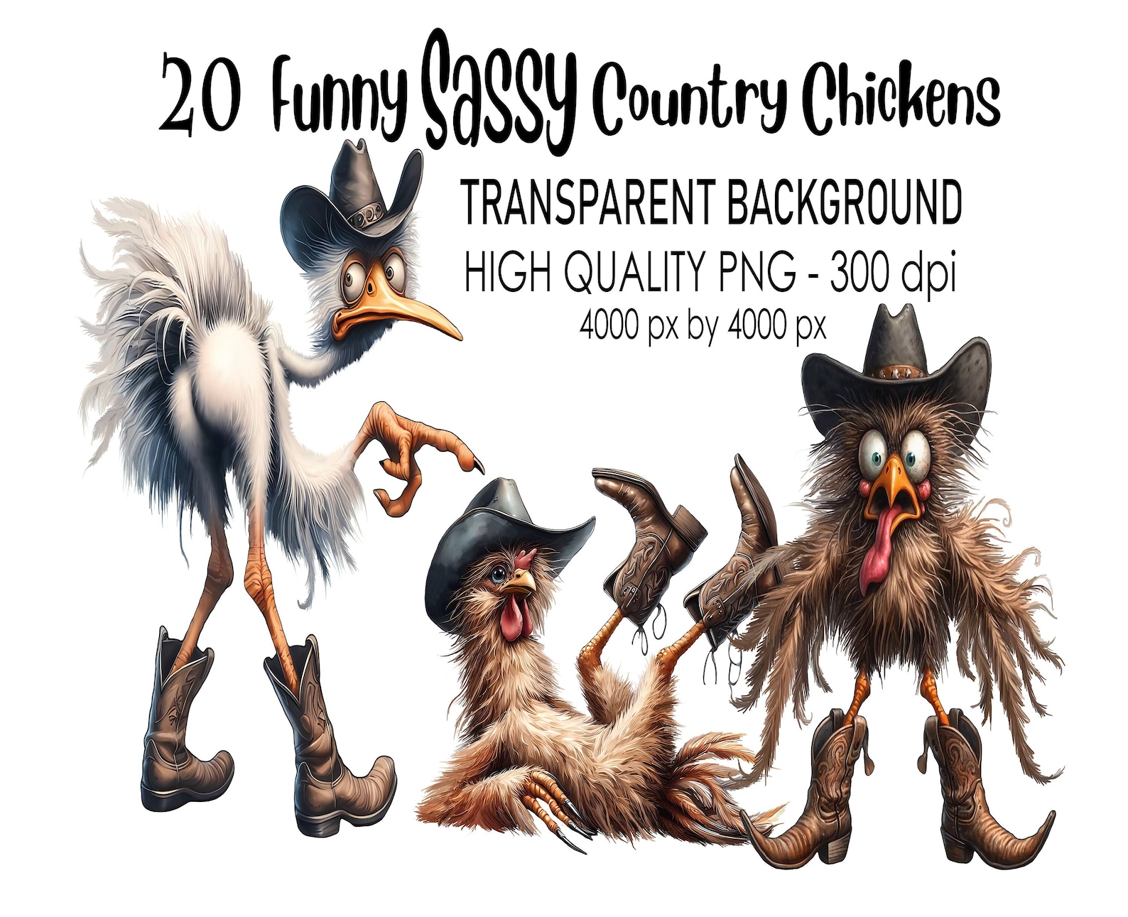 20 Funny Sassy Country Chickens, Transparent Background PNG, 300 DPI ...