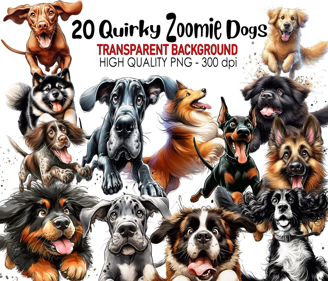 20 Transparent Background Quirky Zoomie Dogs Clip Art, PNG 300 Dpi High ...