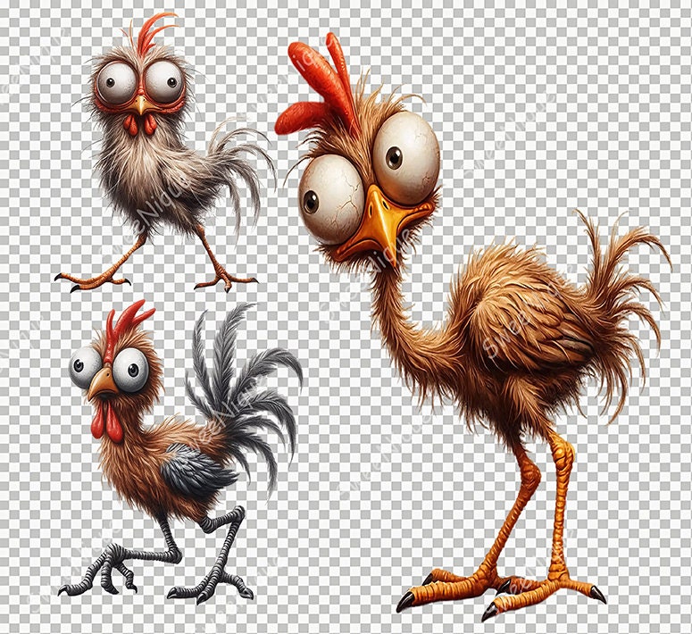 20 Transparent Background Funny Crazy Chickens Clip Art, PNG 300 Dpi High Quality Digital ...