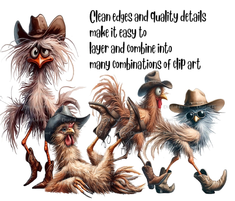 20 Funny Sassy Country Chickens, Transparent Background PNG, 300 DPI ...