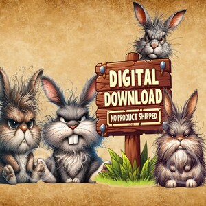 18 Transparent Background Grumpy Bunny Rabbit Clip Art, PNG 300 Dpi ...